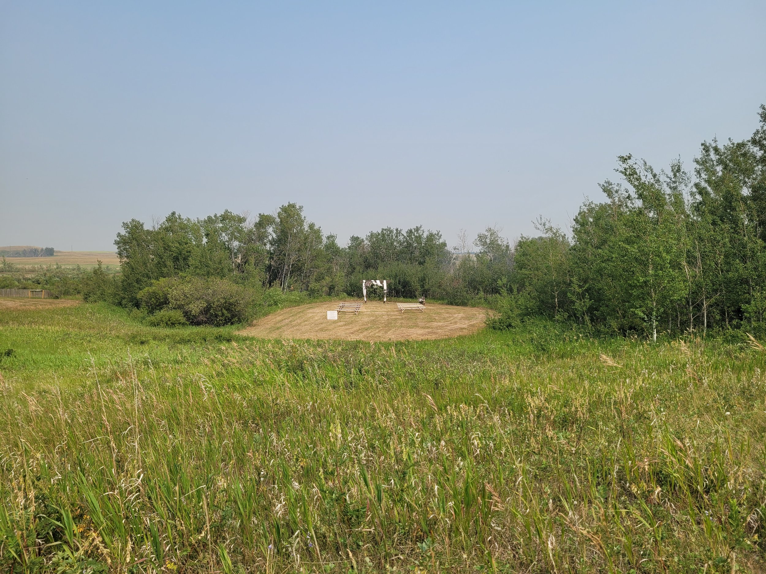Weddings at Wander's Tiny Farm — Wander's Tiny Farm
