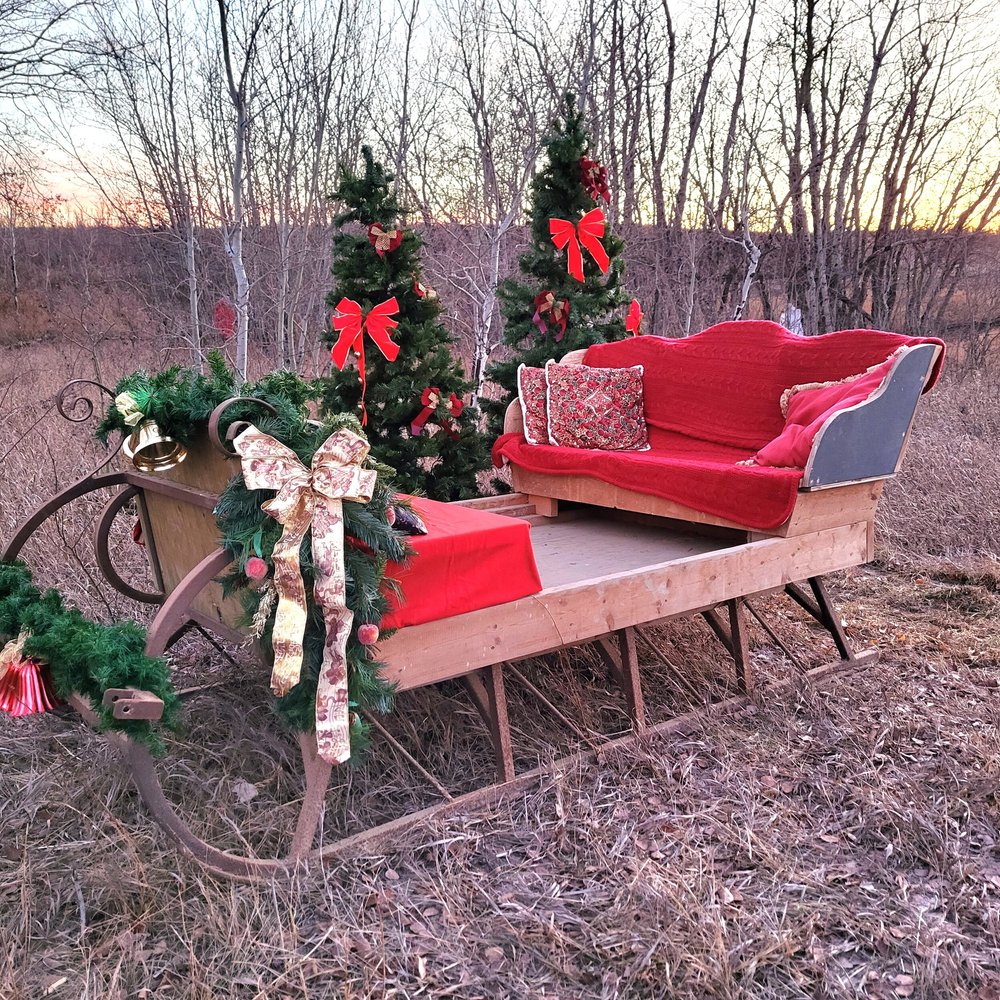 What to do at Wander's Tiny Farm — Wander's Tiny Farm