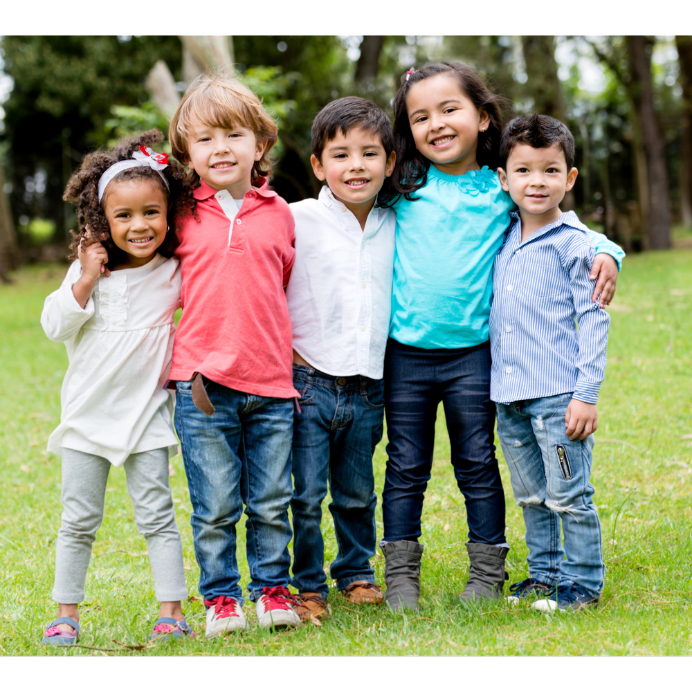 The Foster Network