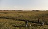 Our Company — Prairie Fava