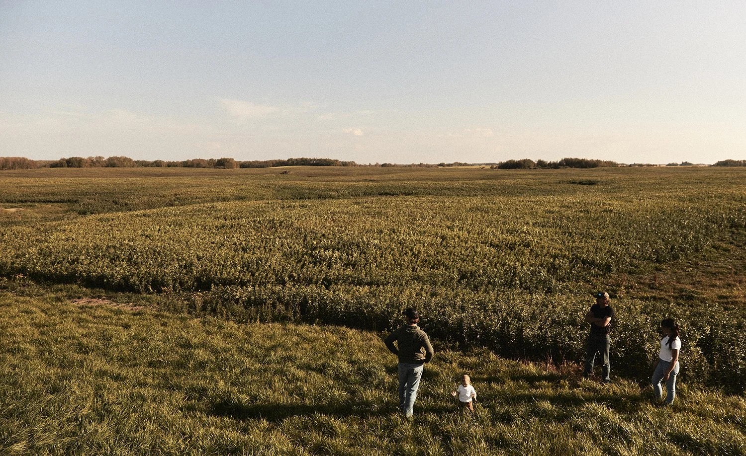 Our Company — Prairie Fava