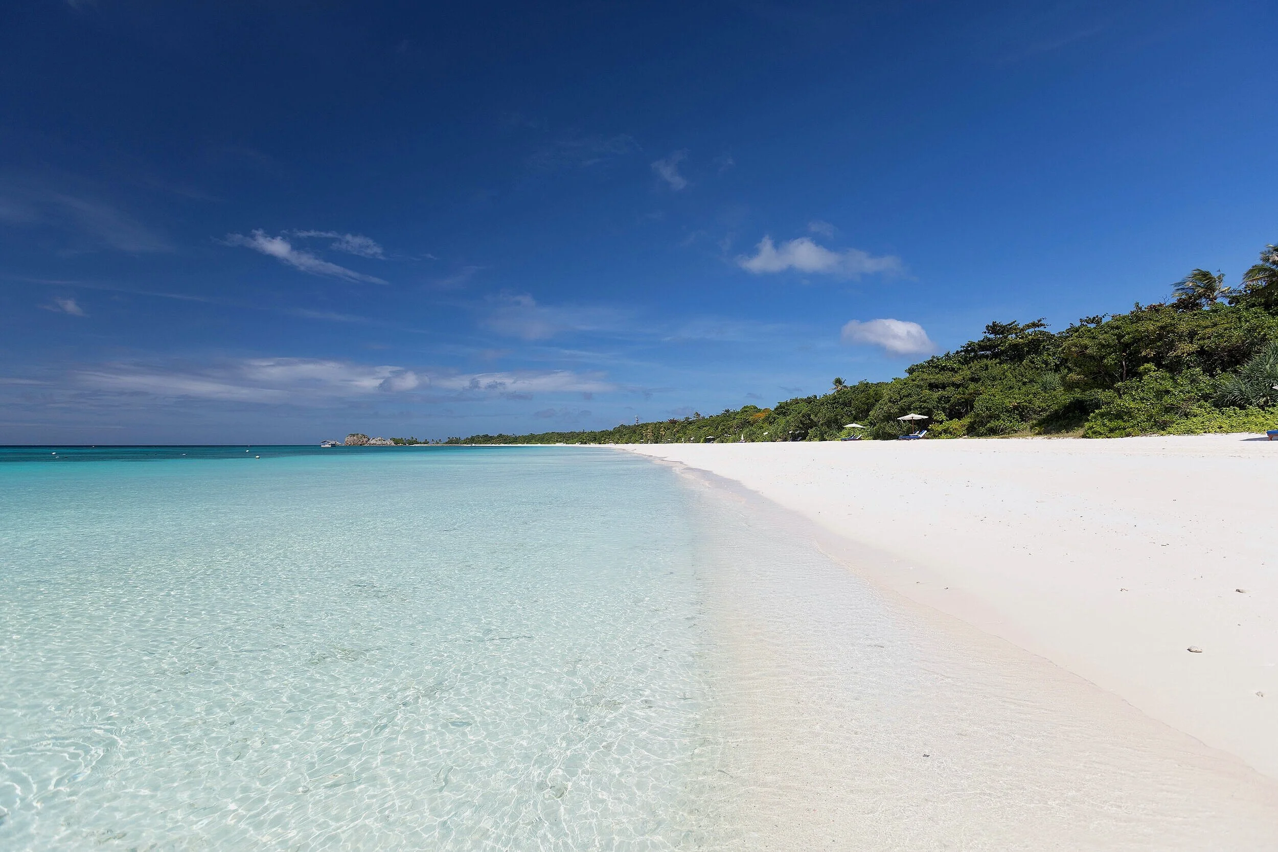 Dorsia Travel