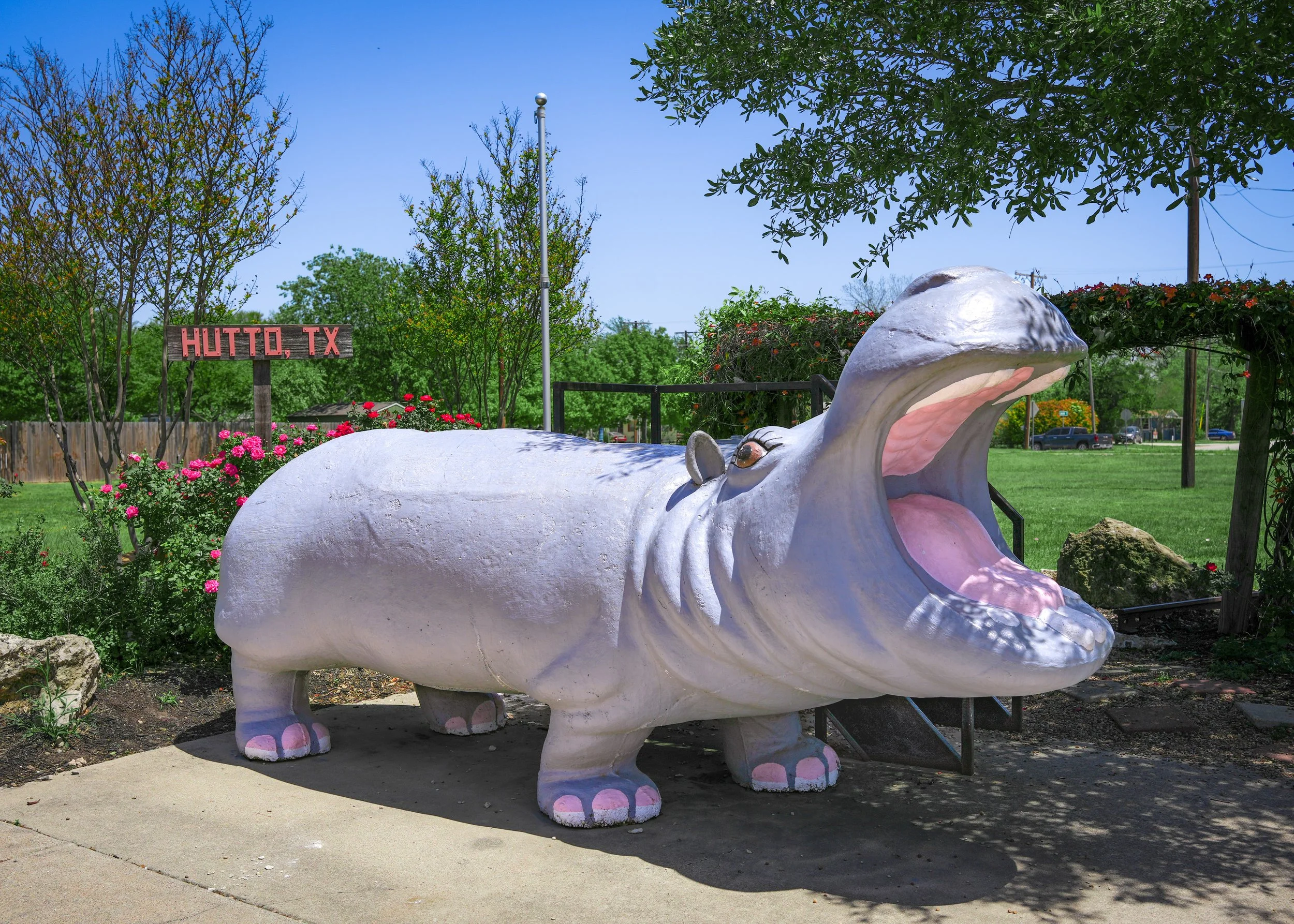 Community — Hutto PD