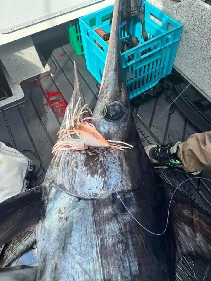 Tasmanian Fishing Report 17/03/23 — Spot On Fishing Tackle Hobart