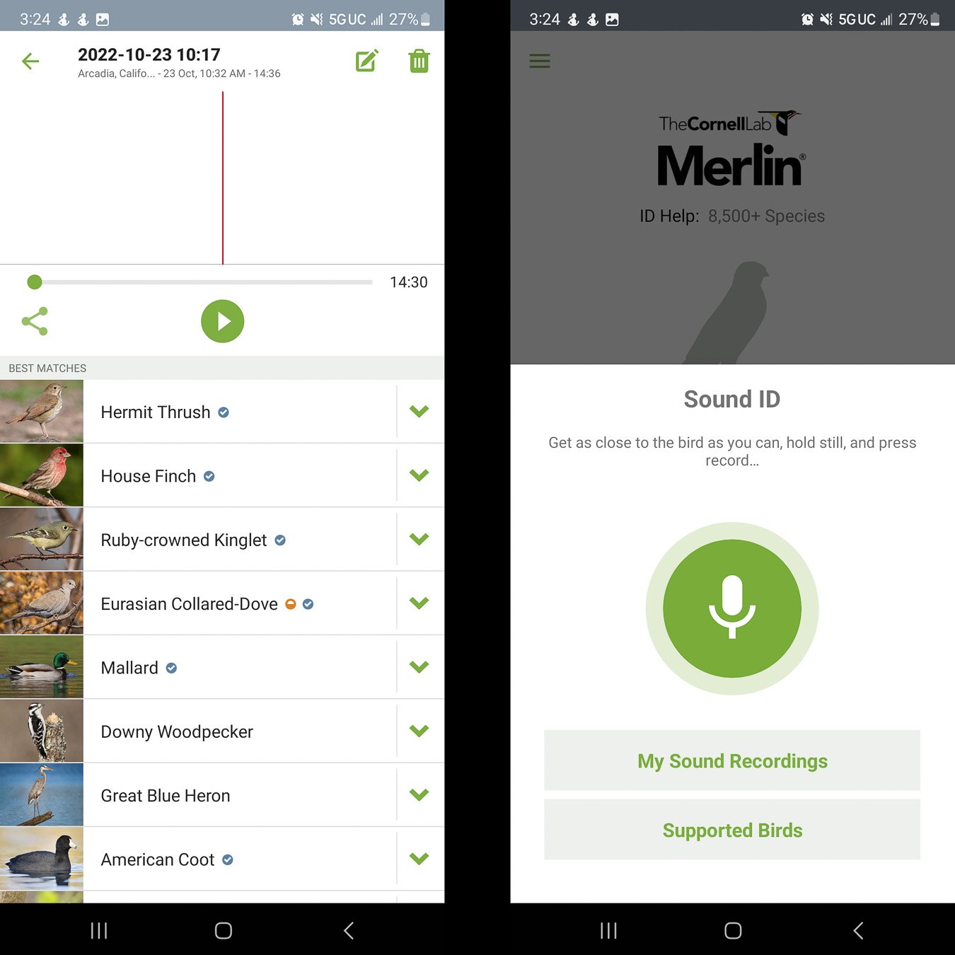 An Intro to eBird and Merlin — Neal Parekh Nature and Wildlife Photography