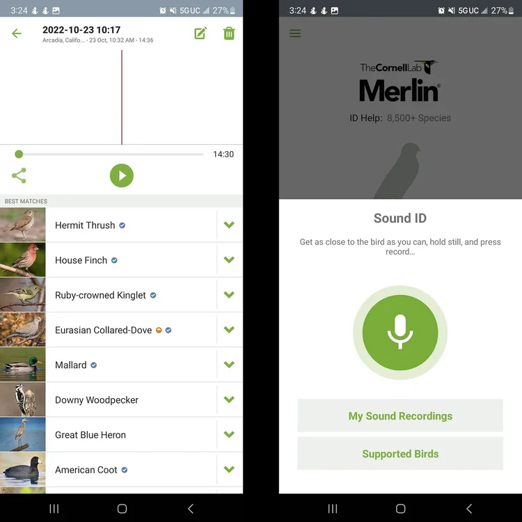 An Intro to eBird and Merlin — Neal Parekh Nature and Wildlife Photography