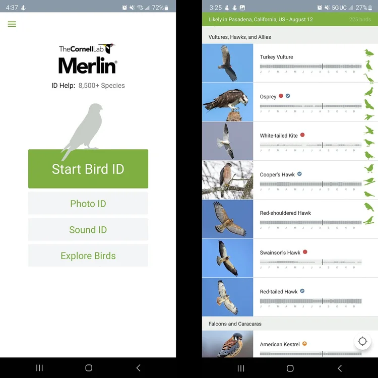 An Intro to eBird and Merlin — Neal Parekh Nature and Wildlife Photography