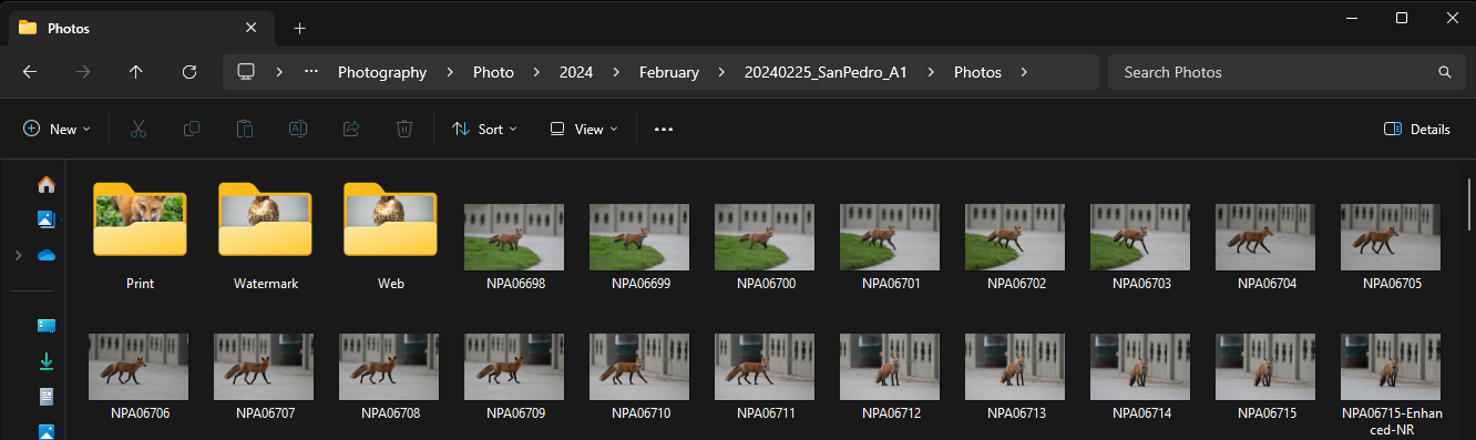 Workflow Series: 3 tips for photo organization and a note on hardware ...