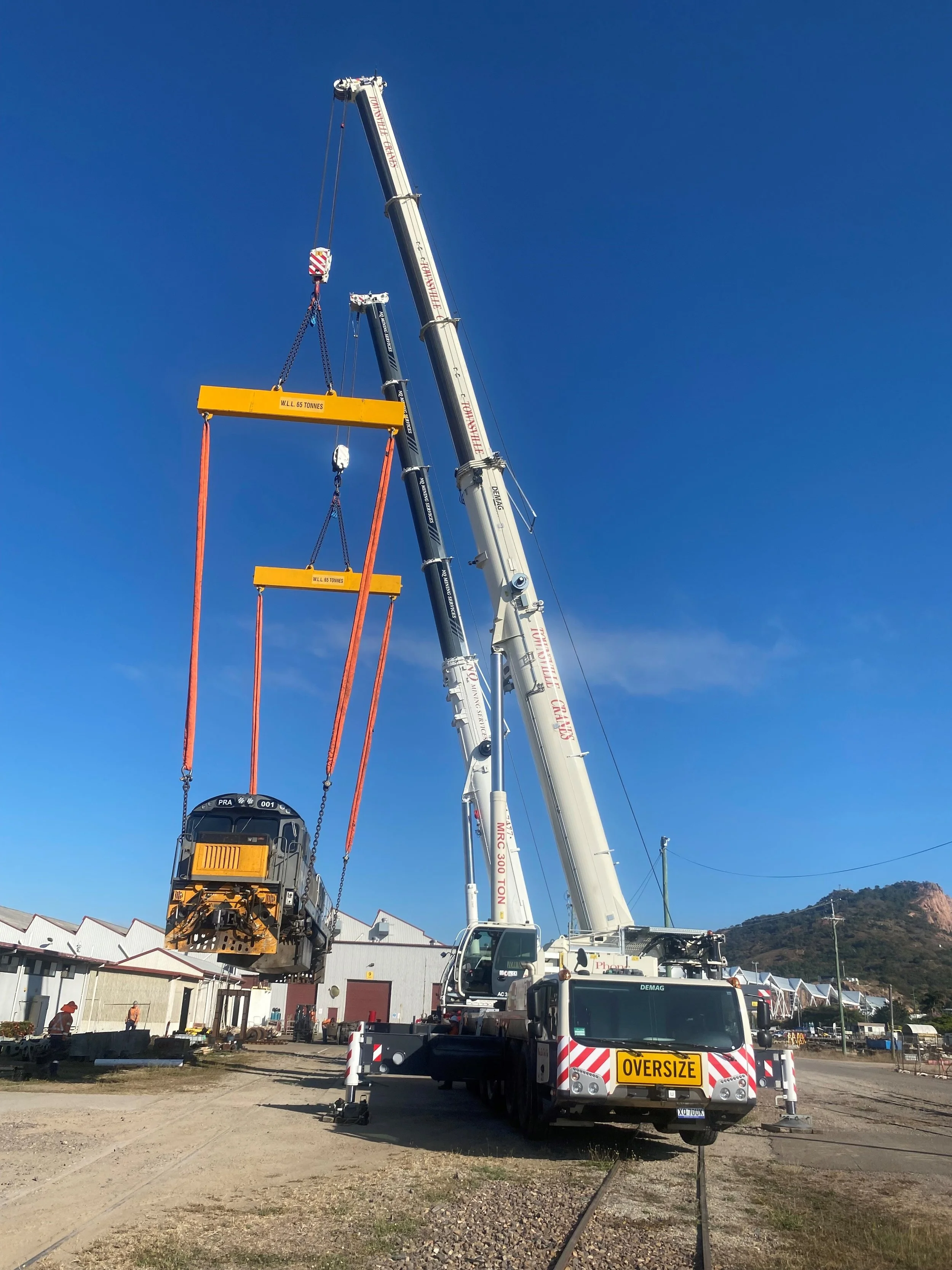 Gallery — Townsville Cranes