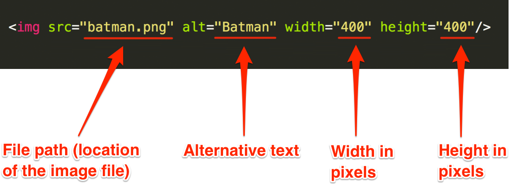 Adding images to a web page — codemahal