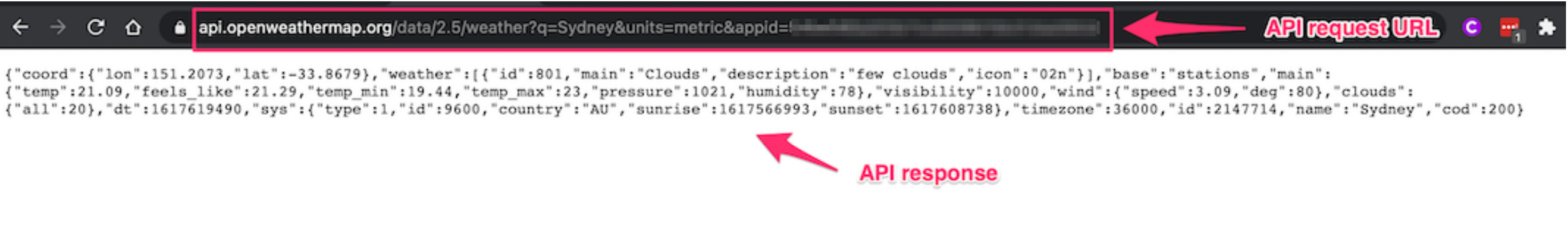 Working with JSON data — codemahal