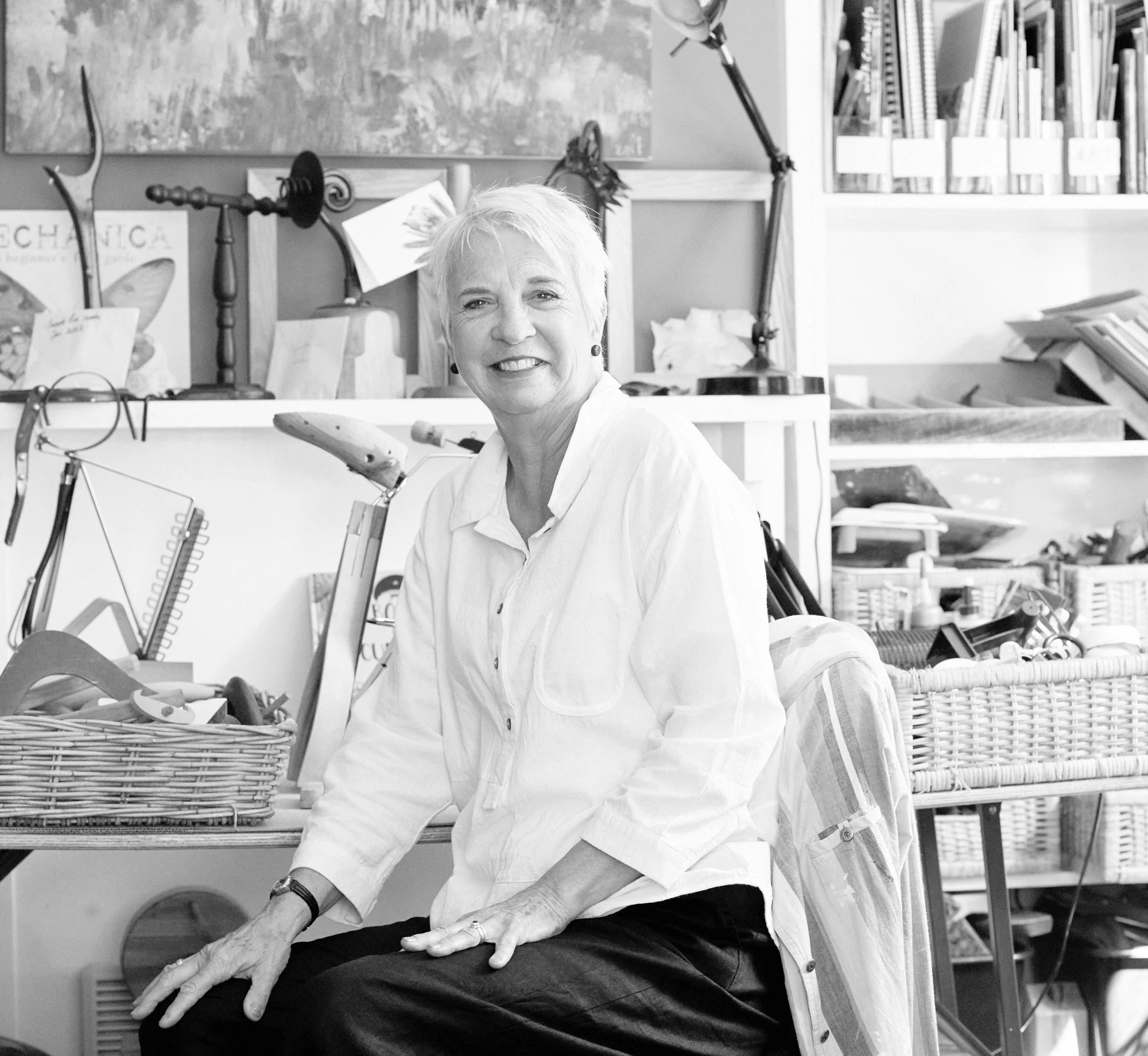 Sue Stevenson Artist Profile — Blenheim Gallery And Garden