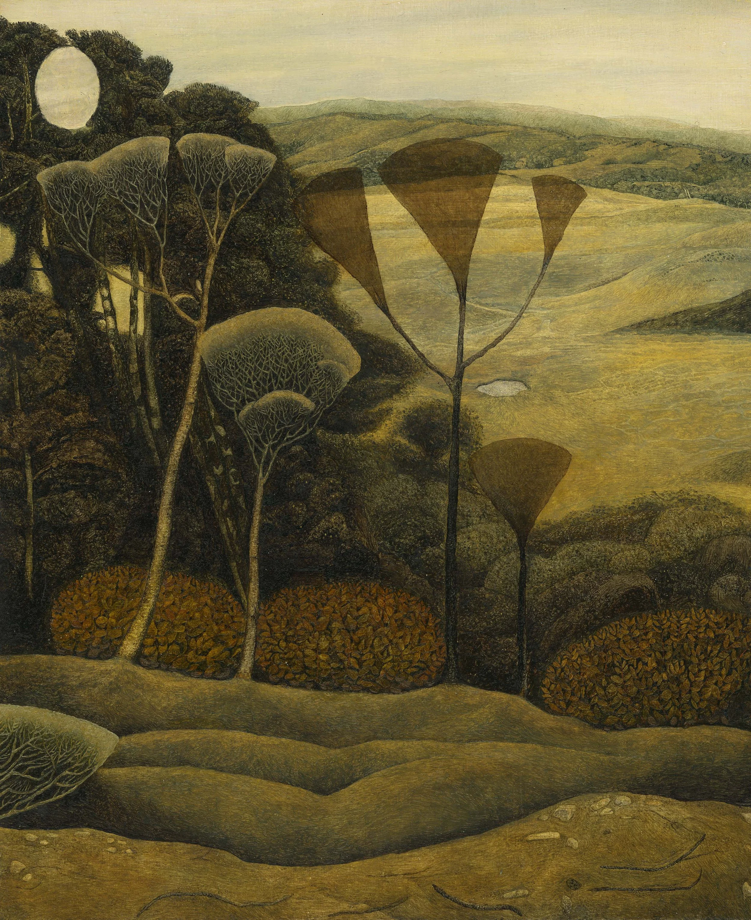 Lorna Quinn — Blenheim Gallery And Garden