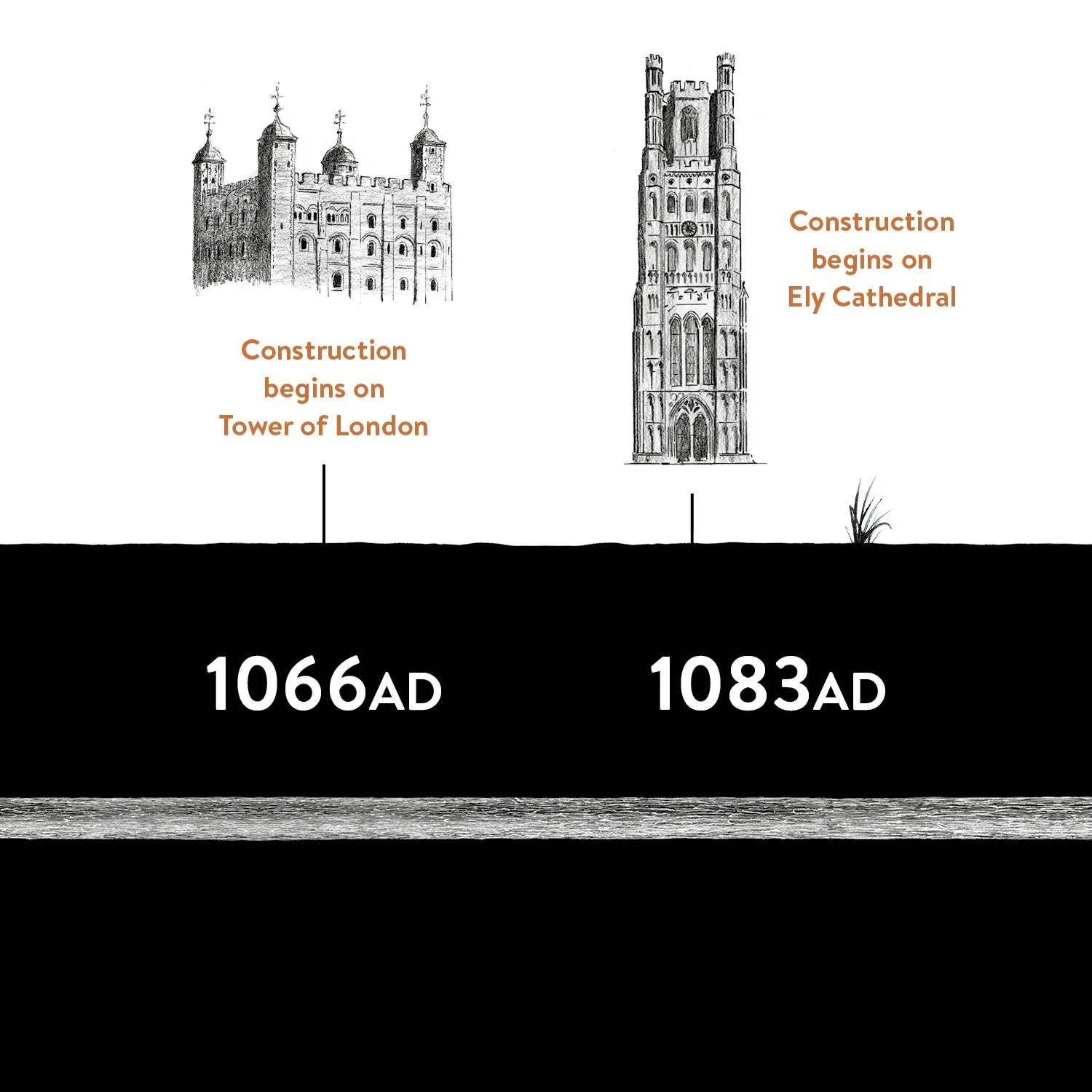 Black Oak — The Fenland Black Oak Project