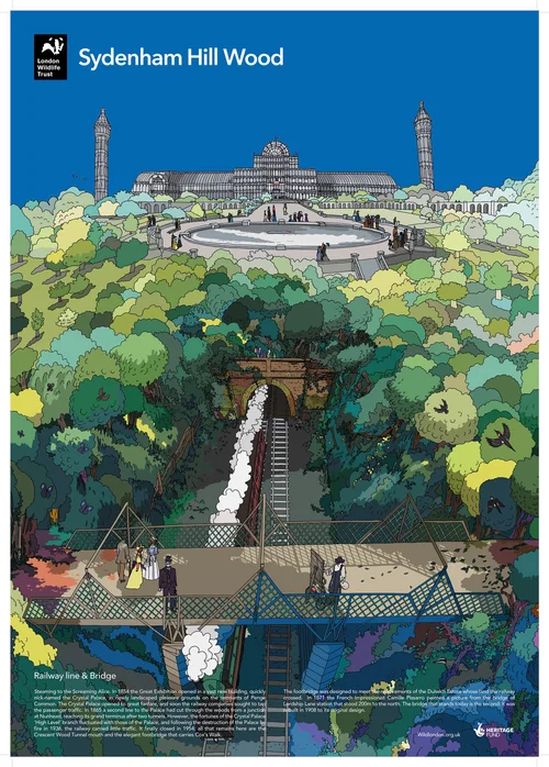 London Wildlife Trust — Celyn Brazier