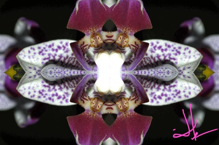 Project Rewards: A Daily Facebook Art Series by Jenica "Hen" Weyand ...