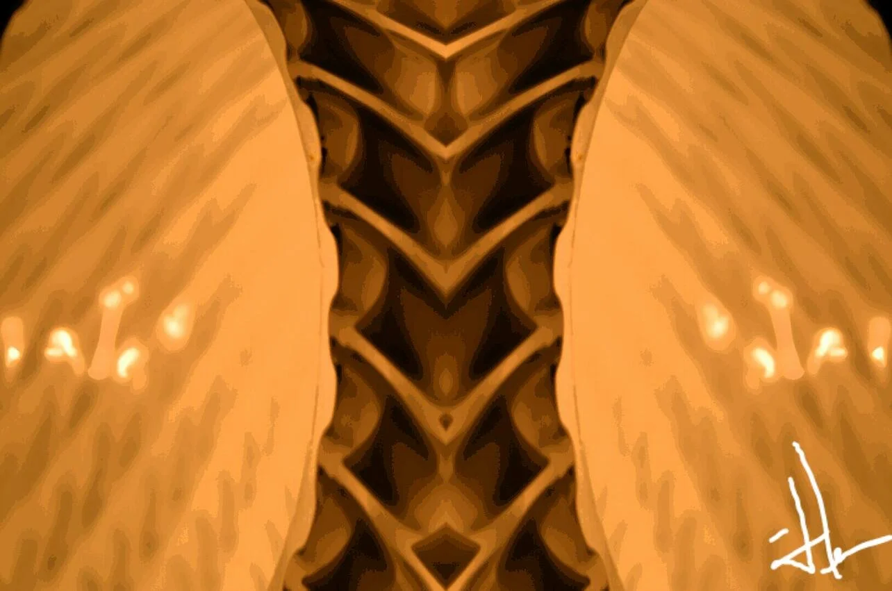 Project Rewards: A Daily Facebook Art Series by Jenica "Hen" Weyand ...
