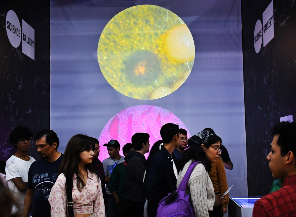 INICIO — Science Gallery Monterrey