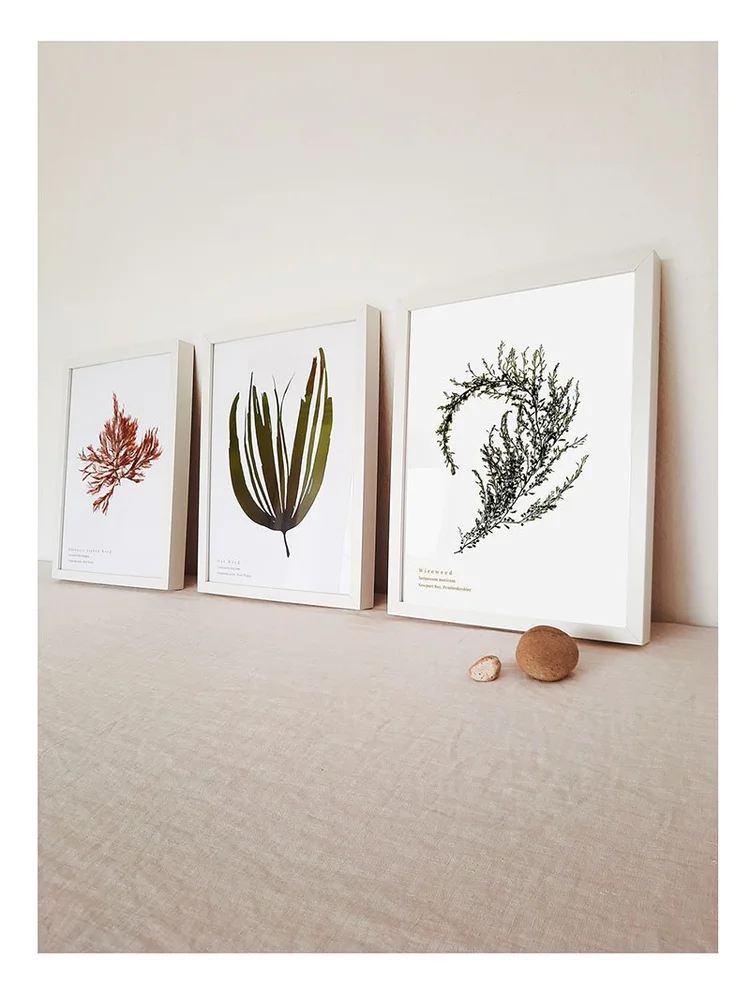 Beautiful Fan Weed Print — Coast and Wild