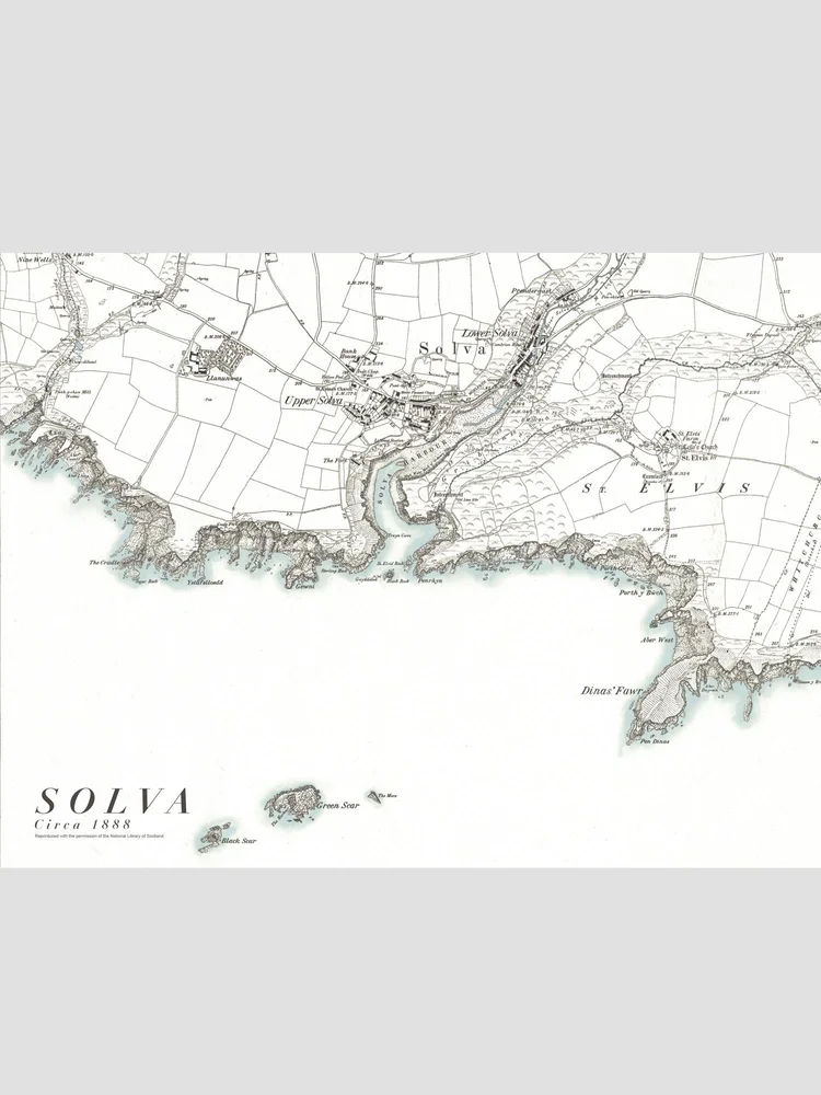 A reproduction taken from an 1888 vintage map of the city of St Davids ...