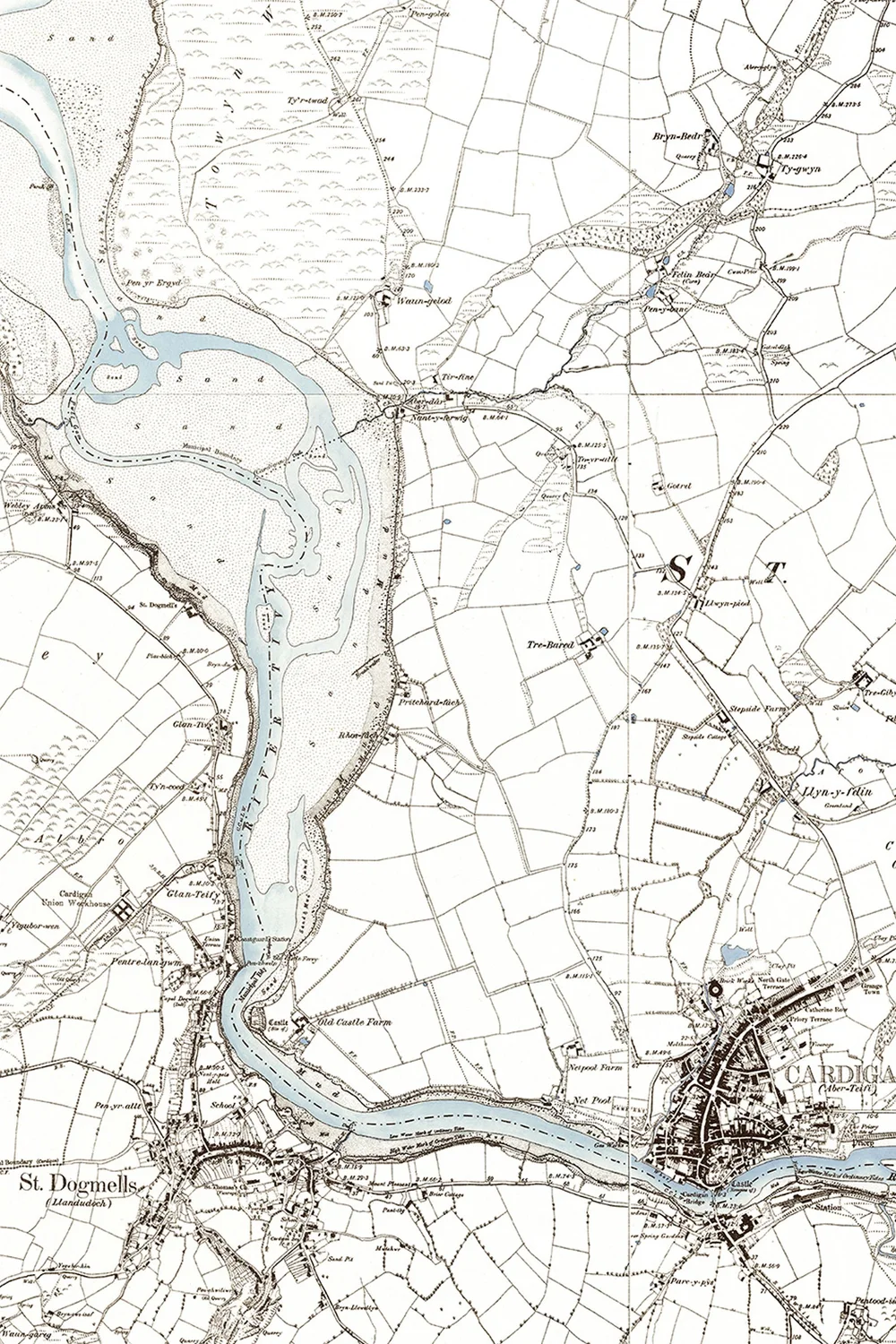 Jon's Map of Wales - a composition of Whales in the shape of the ...