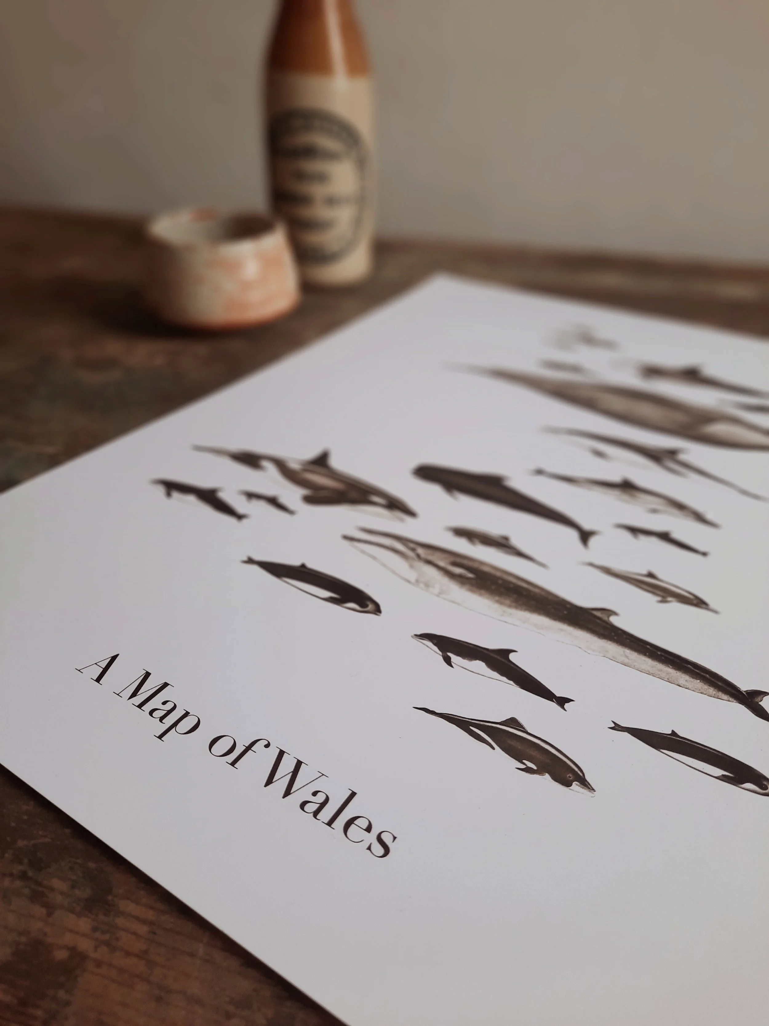 Castell Henllys & Castell Mawr Map — Coast and Wild