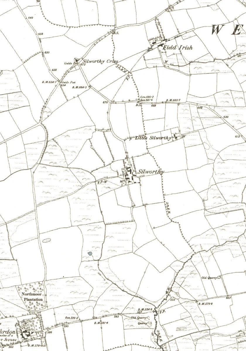 A Map of Wales - a composition of Whales in the shape of the country ...