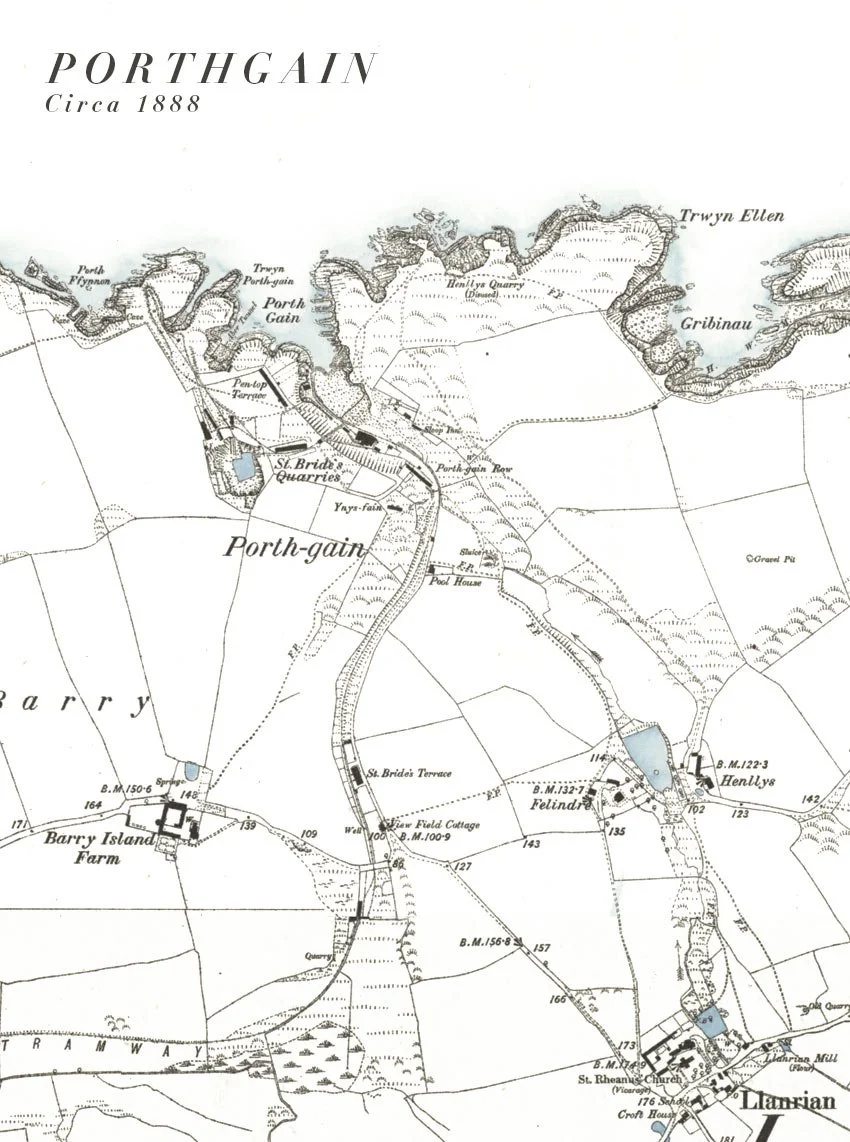 Jon's Map of Wales - a composition of Whales in the shape of Wales - a ...