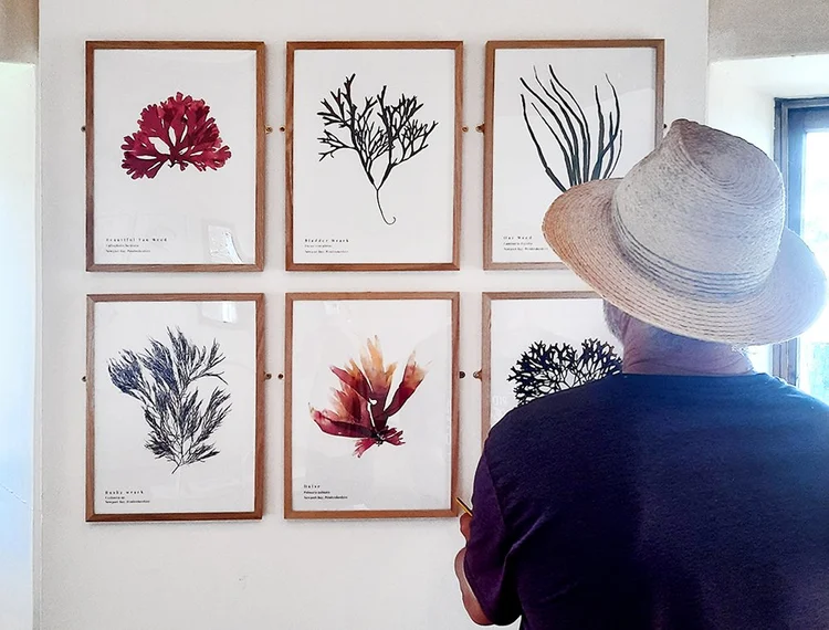 Seaweed Prints by Coast & Wild. Hand pressed in Wales.