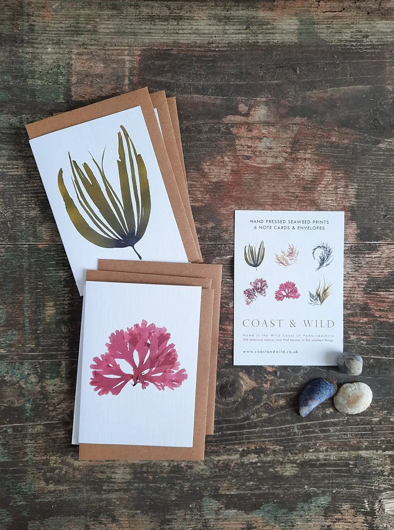 Seaweed Prints by Coast & Wild. Hand pressed in Wales.