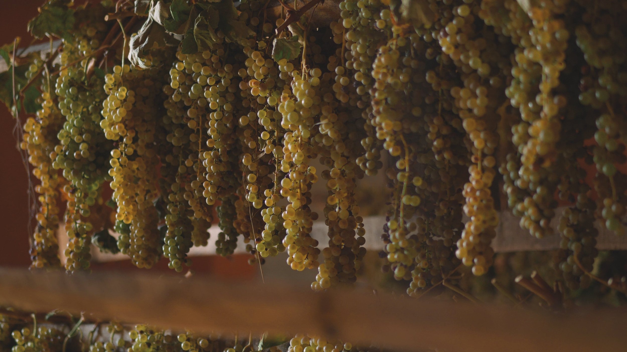 THE CELESTIALE EXPERIENCE — Imaginaria Events | Tuscany Food & Wine Tours