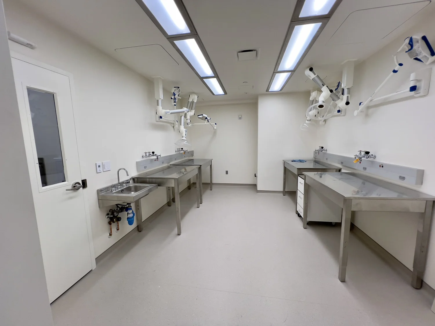 News — Nelson Lab