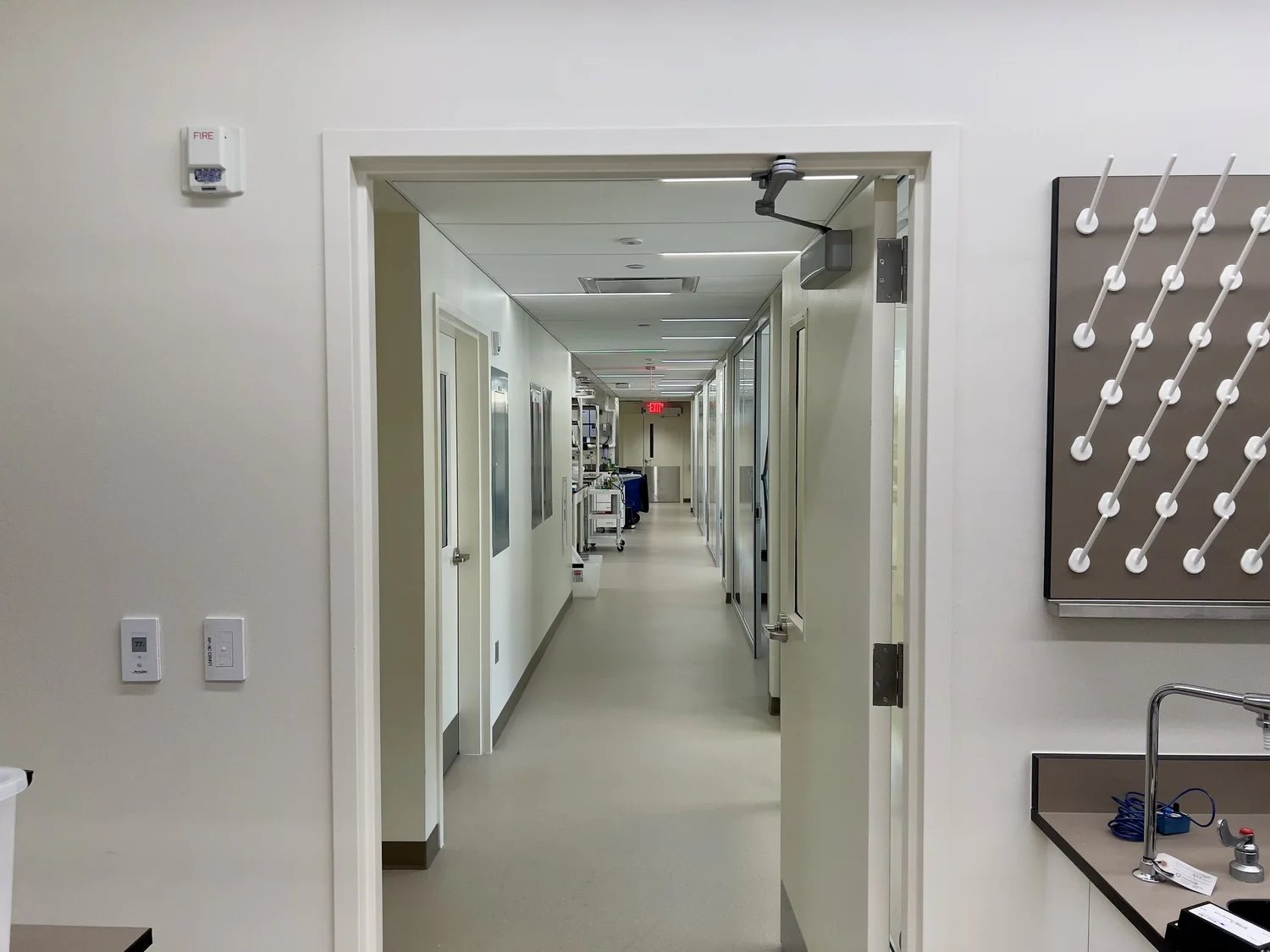 News — Nelson Lab