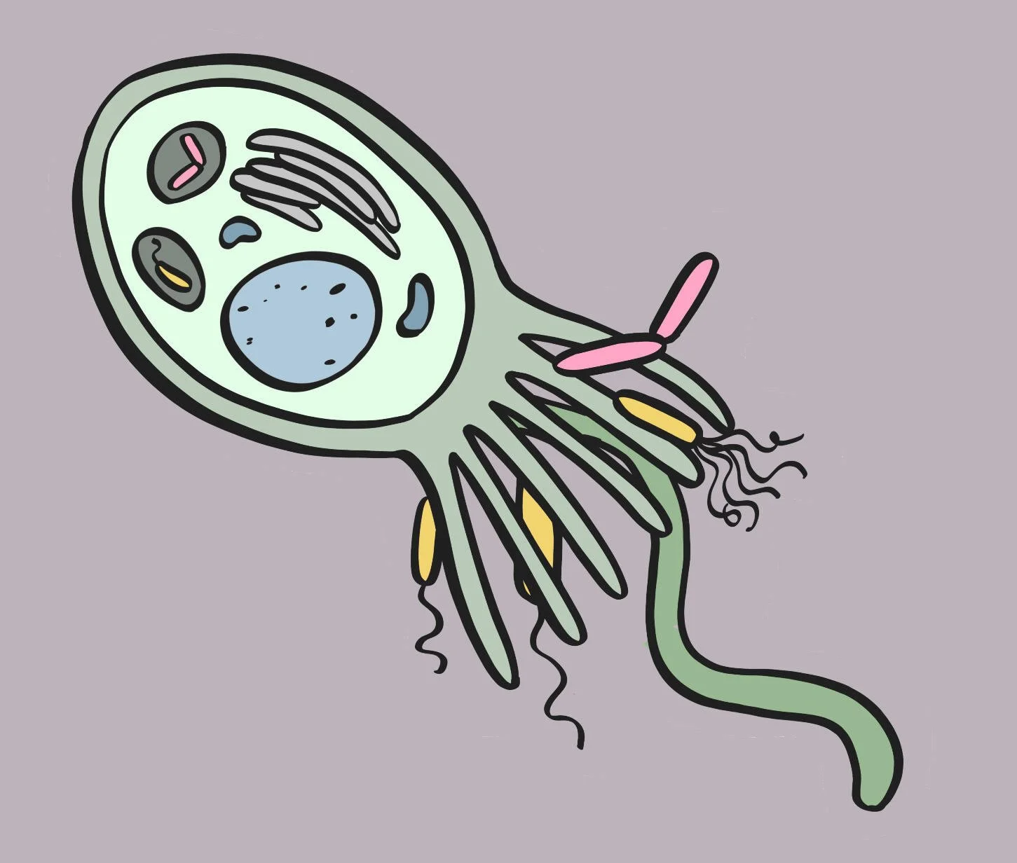 Arielle Woznica — Woznica Lab