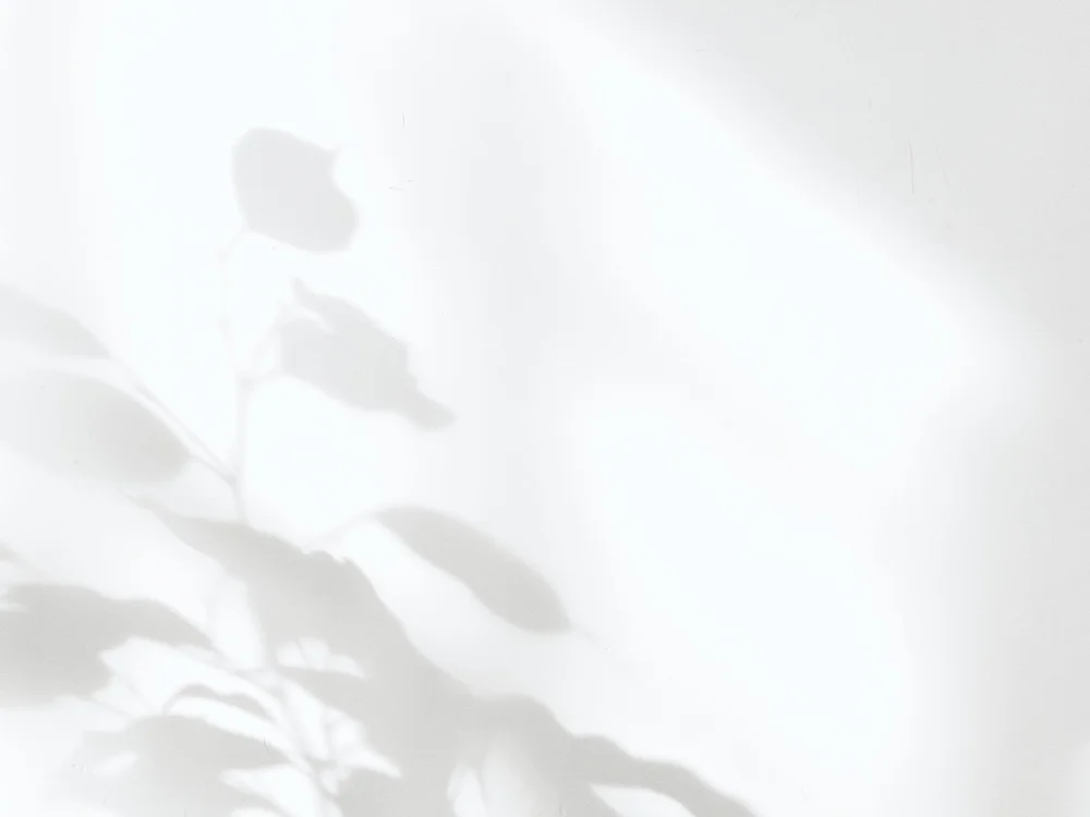 Program Administration Scale Resources — bella mattina