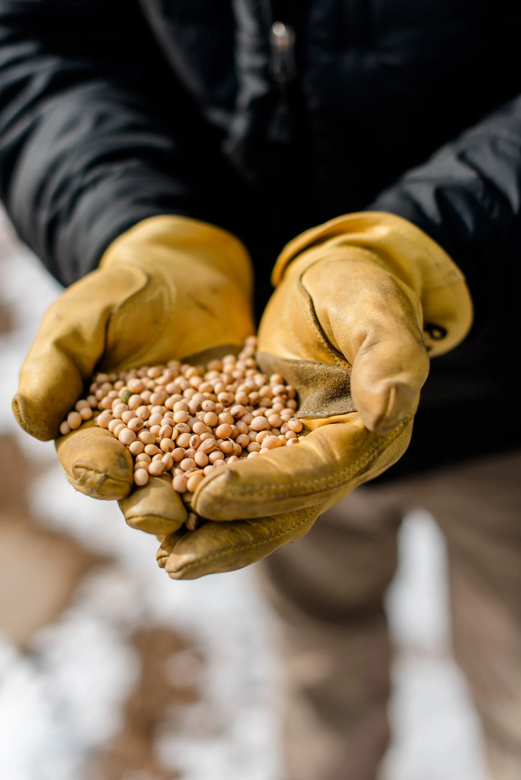 Ross Tschetter on Family Farming, Stewardship, and Innovation in South ...