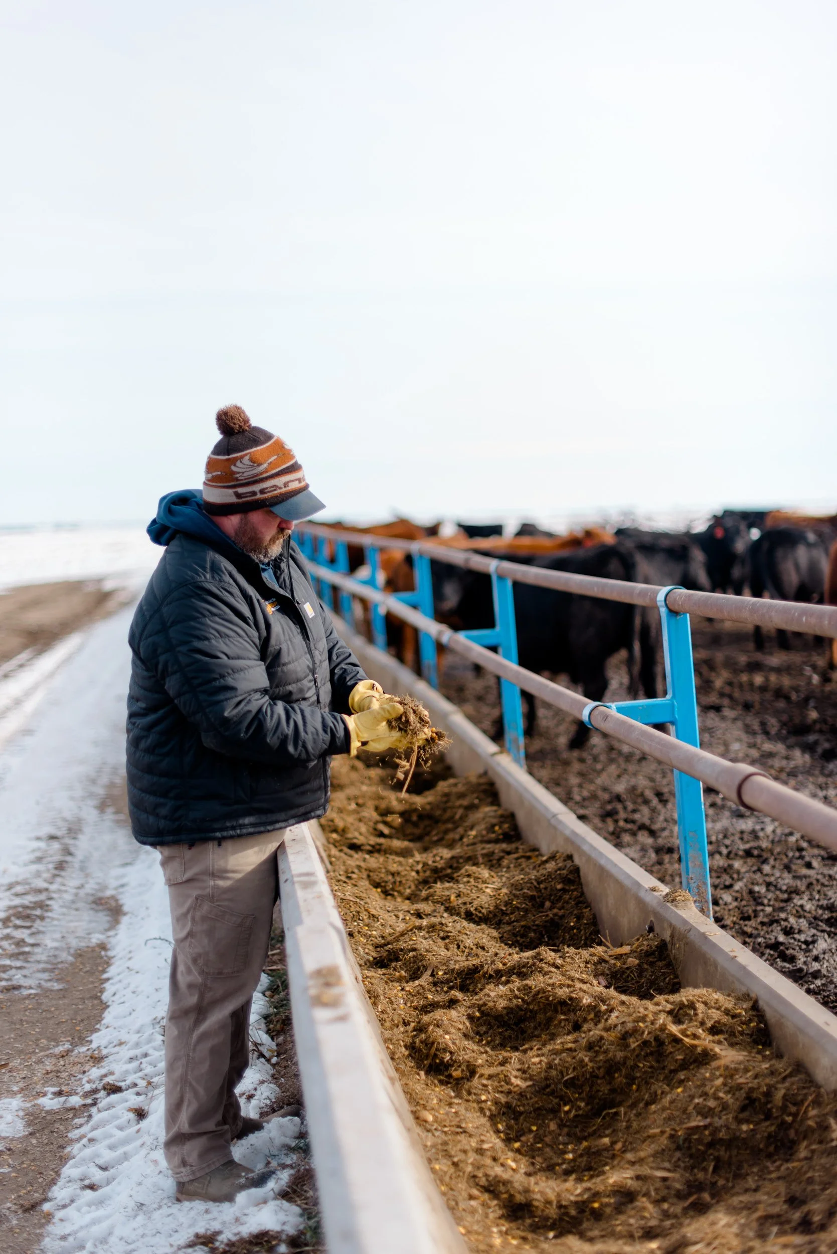 Ross Tschetter on Family Farming, Stewardship, and Innovation in South ...