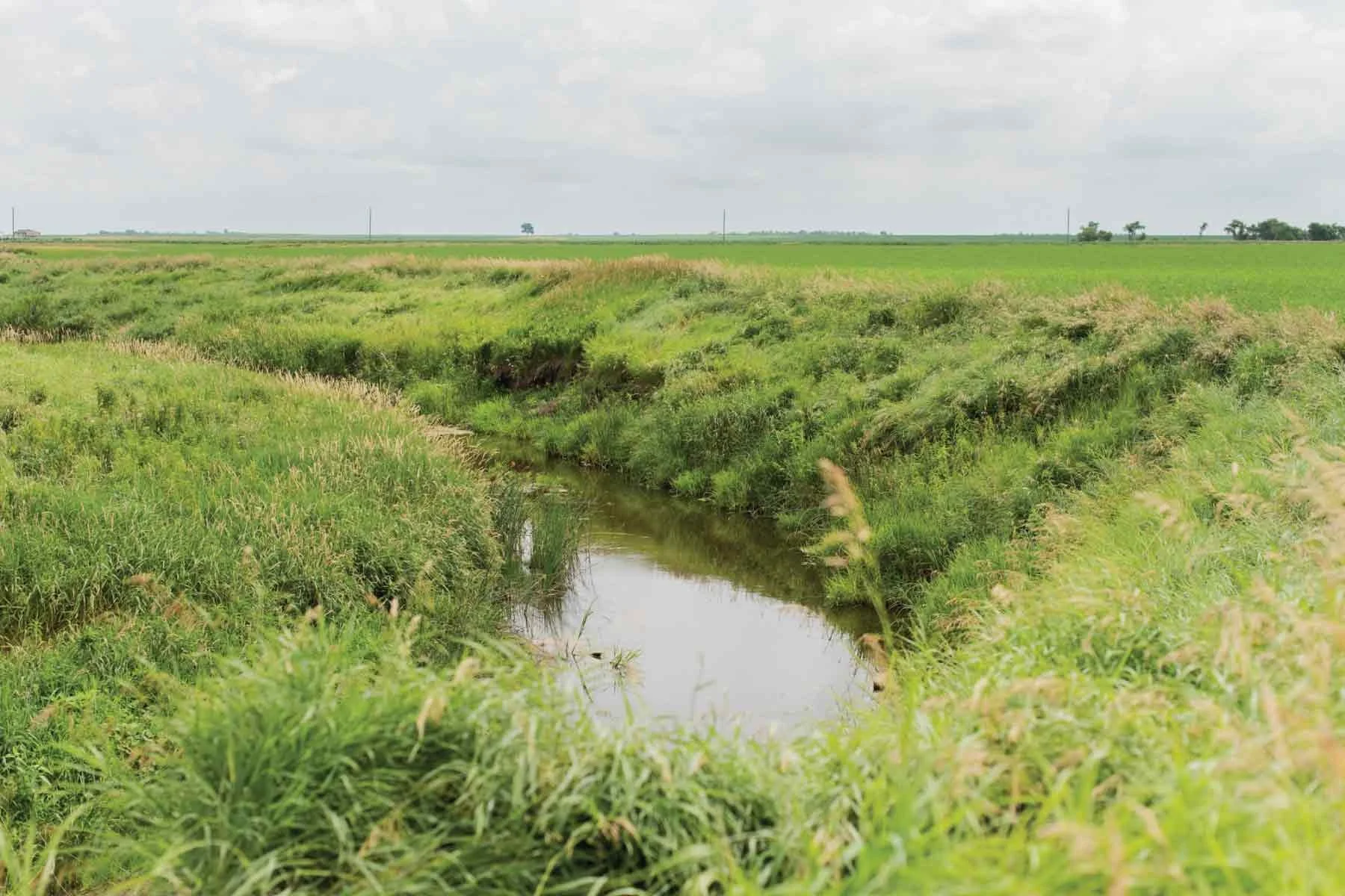 How Farming Supports Water Conservation Efforts — Hungry For Truth