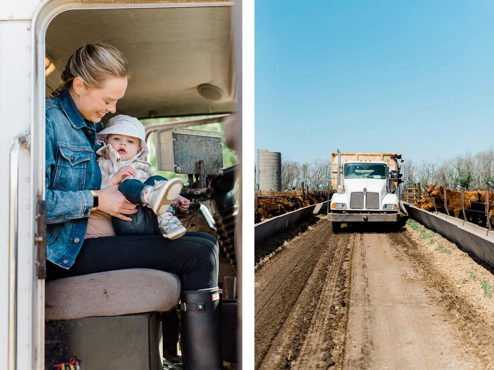 City Girl, Meridith Selby, Explores Farm Life with Drew Peterson ...