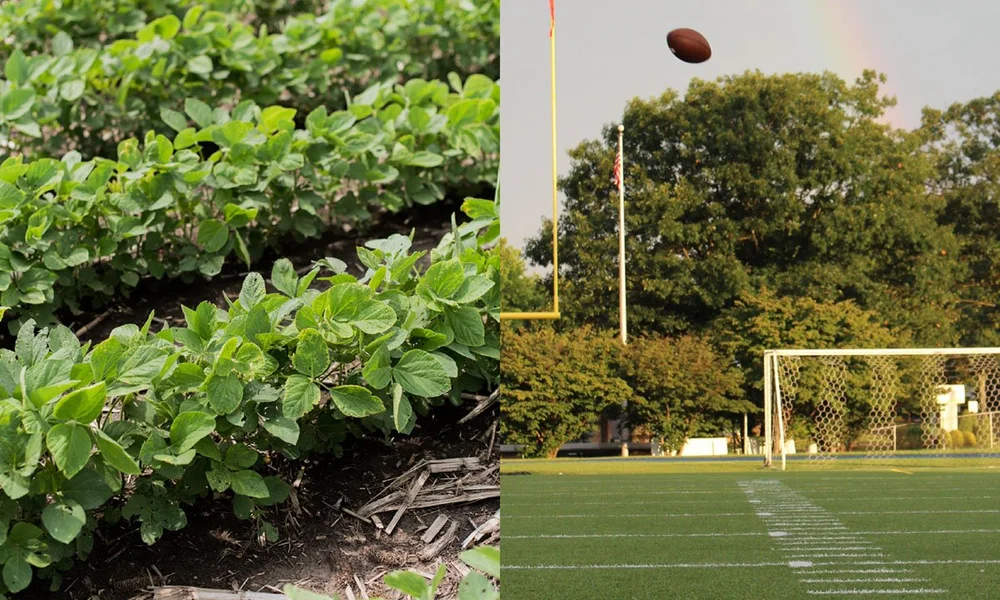 Field-to-Field with DSU’s Jeff Dittman — Hungry For Truth