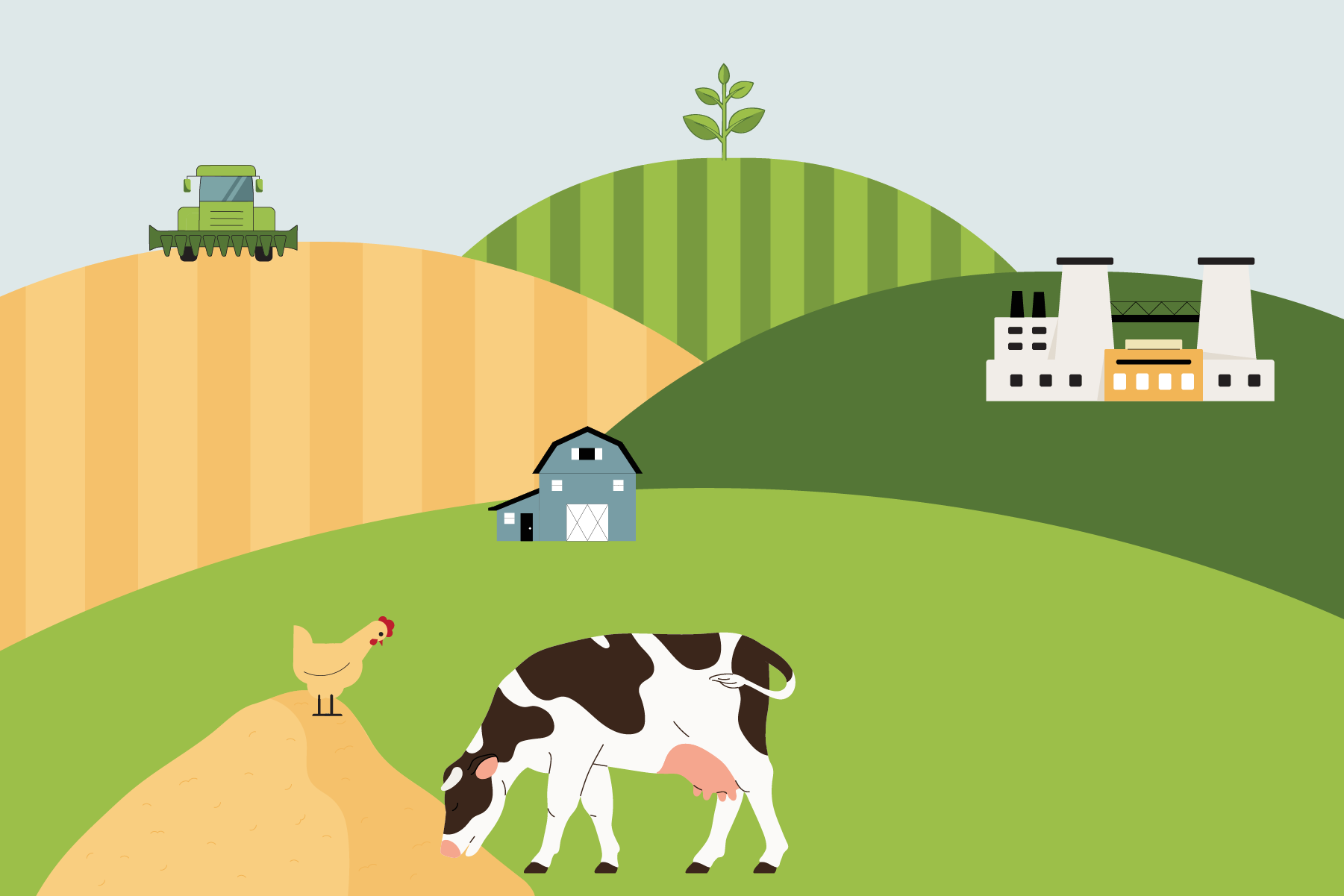 From Field to Feed: How Soybeans Become Soybean Meal for Livestock ...