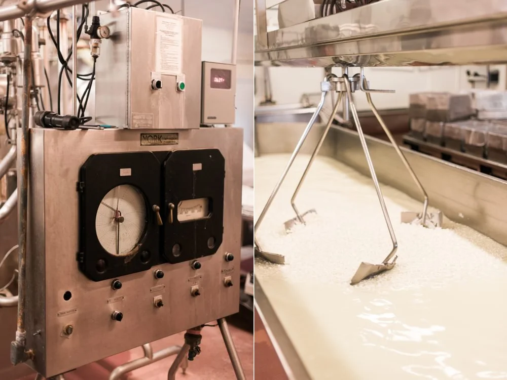 Making Cheese With South Dakota’s Dimock Dairy — Hungry For Truth