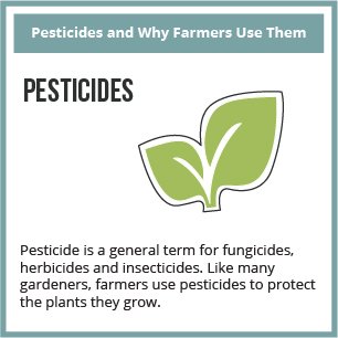 What Are Pesticides and Why Do Farmers Use Them? — Hungry For Truth