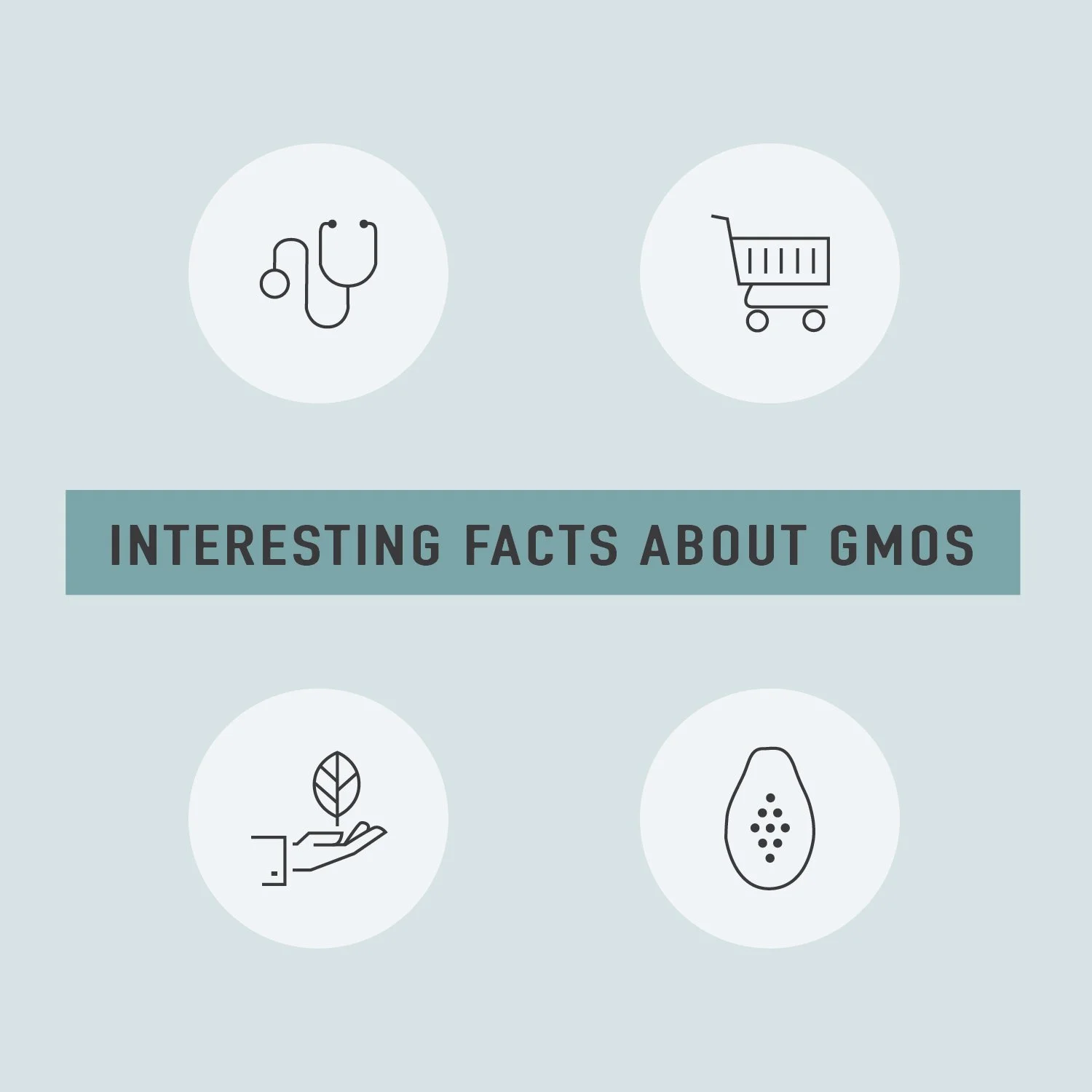Interesting Facts About GMOs — Hungry For Truth
