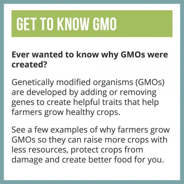 Get to Know GMOs — Hungry For Truth