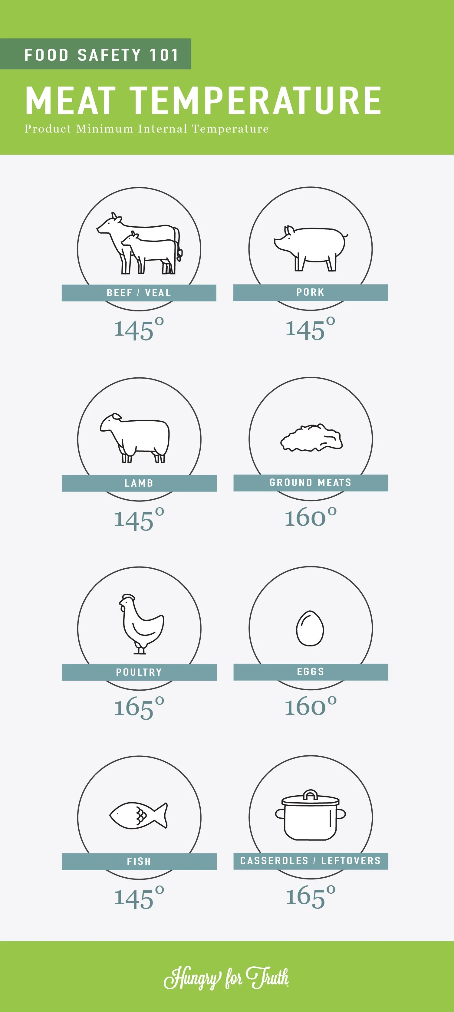 Food Safety 101: Internal Meat Temperatures — Hungry For Truth