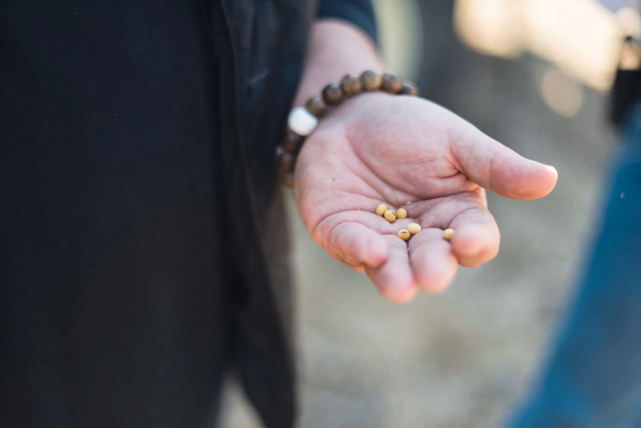 Tim Meagher Explores Bruce Haines' Farm Impact — Hungry For Truth