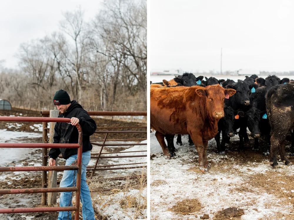 South Dakota Farming Through the Lens of Corey Gross — Hungry For Truth