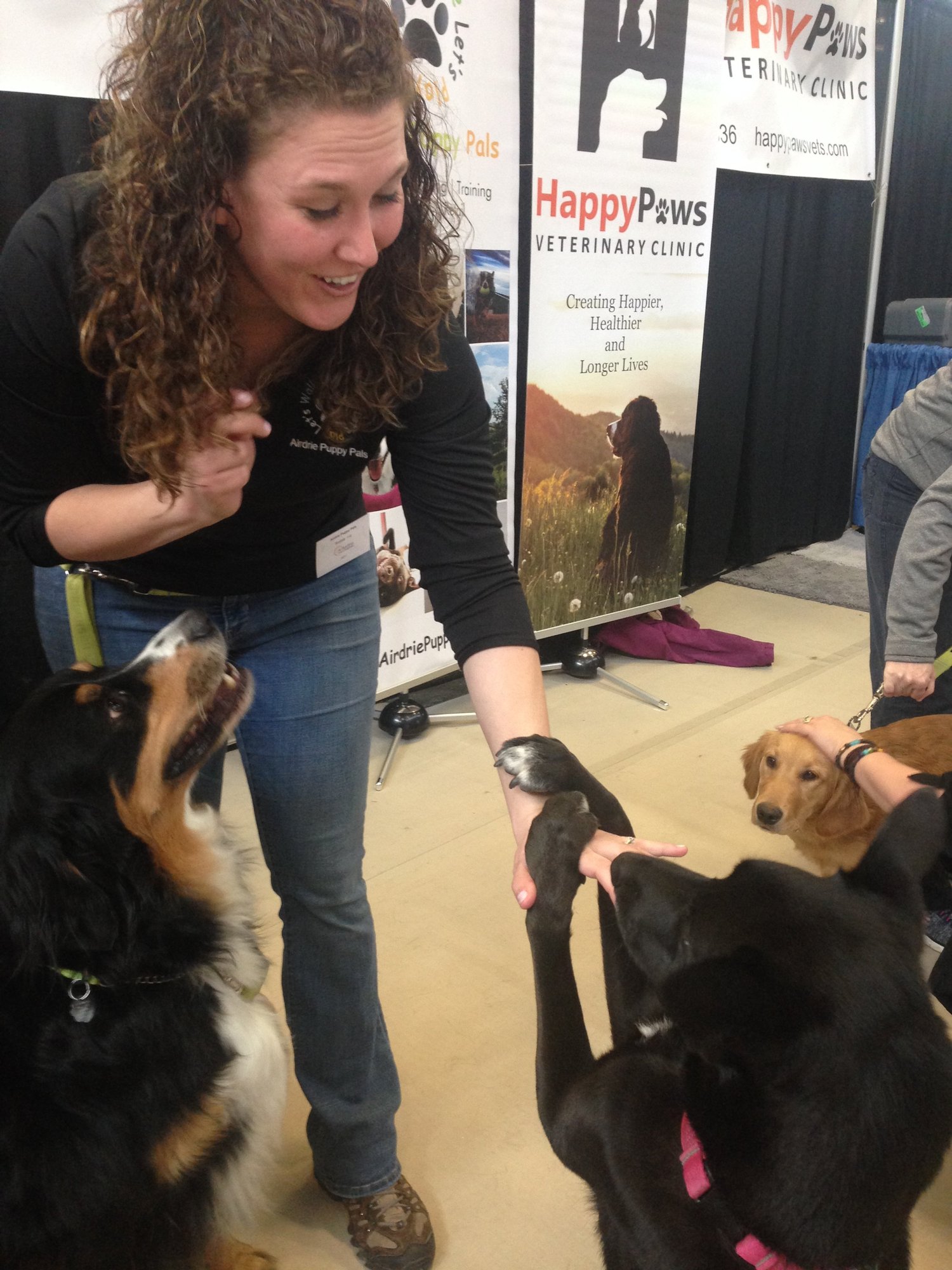 Airdrie Puppy Pals Dog Daycare & Training