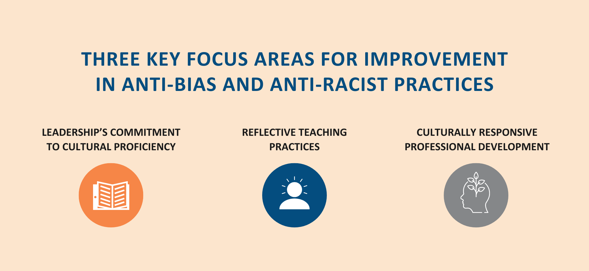 What anti-bias and anti-racist work looks like in education: An ...